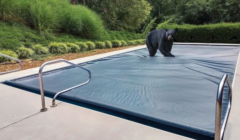 Automated Pool Cover for Wildlife Protection - Bixideco.com